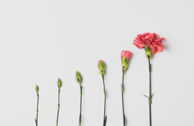 EFT: Beyond the ‘Woo Woo’ - Health and Wellbeing Magazine